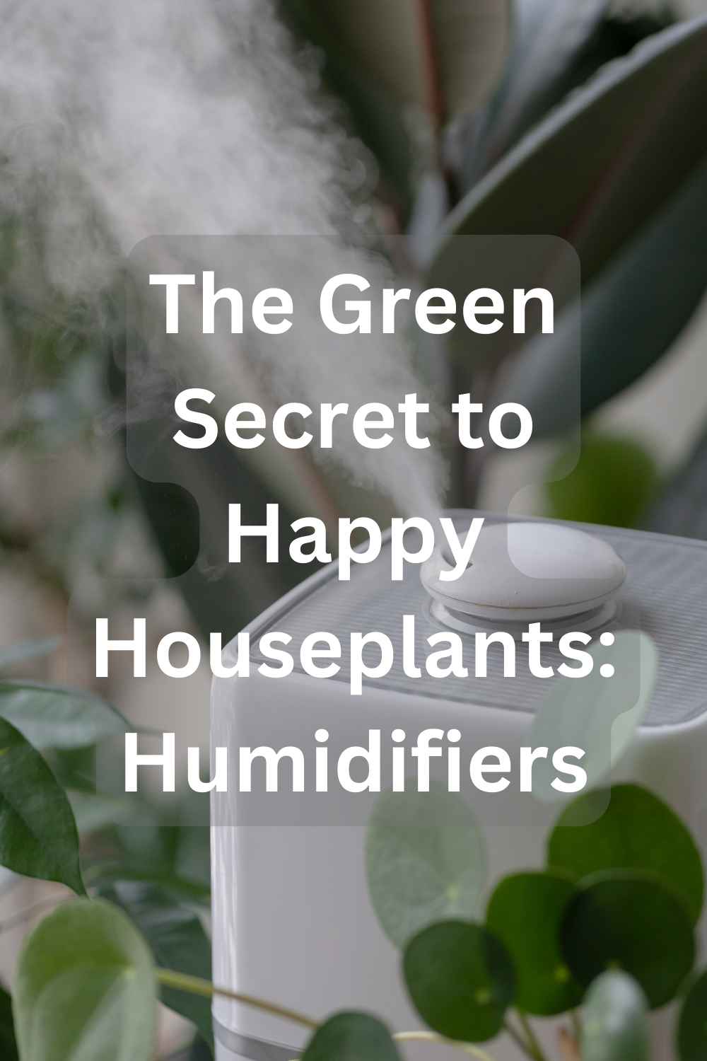 The Green Secret to Happy Houseplants: Houseplant Humidifiers - Mindful ...